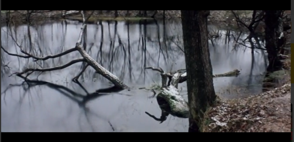 Solaris (1972) - FilmFanatic.org