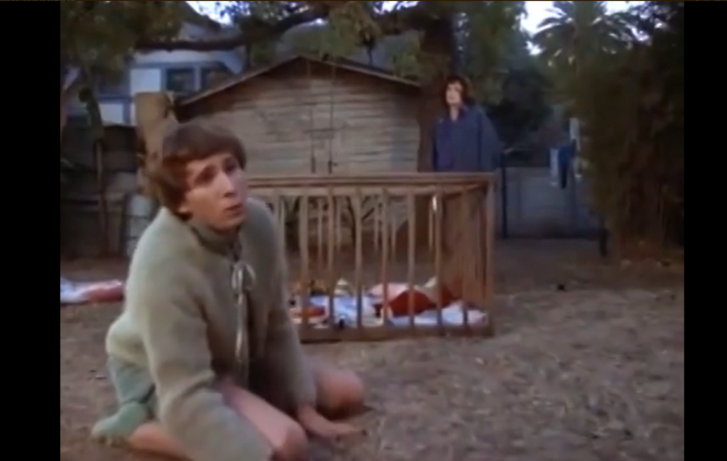 Baby, The (1973) - FilmFanatic.org