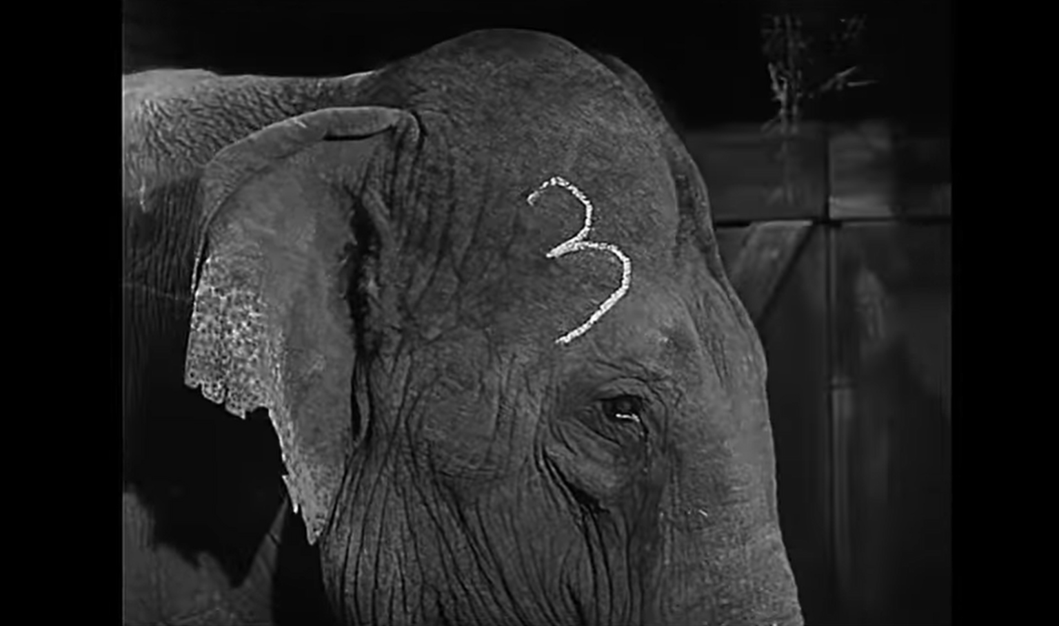 Zenobia (1939) - FilmFanatic.org