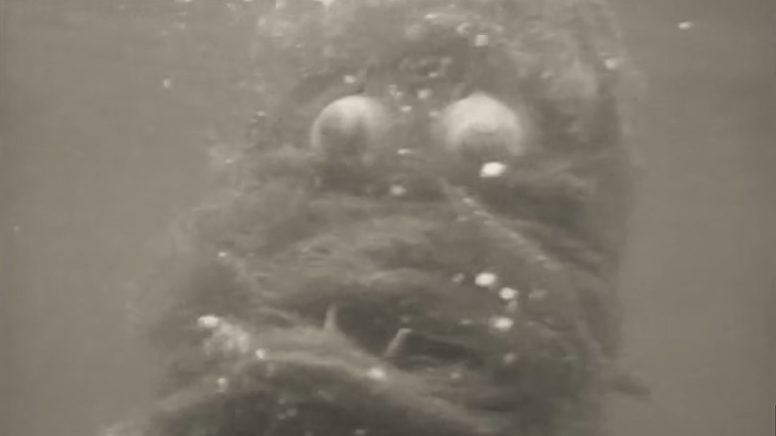 Creature From the Haunted Sea (1961) - FilmFanatic.org