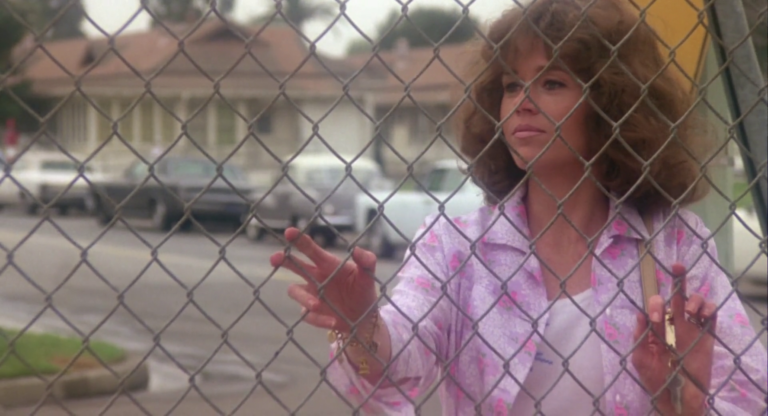 Coming Home (1978) - FilmFanatic.org