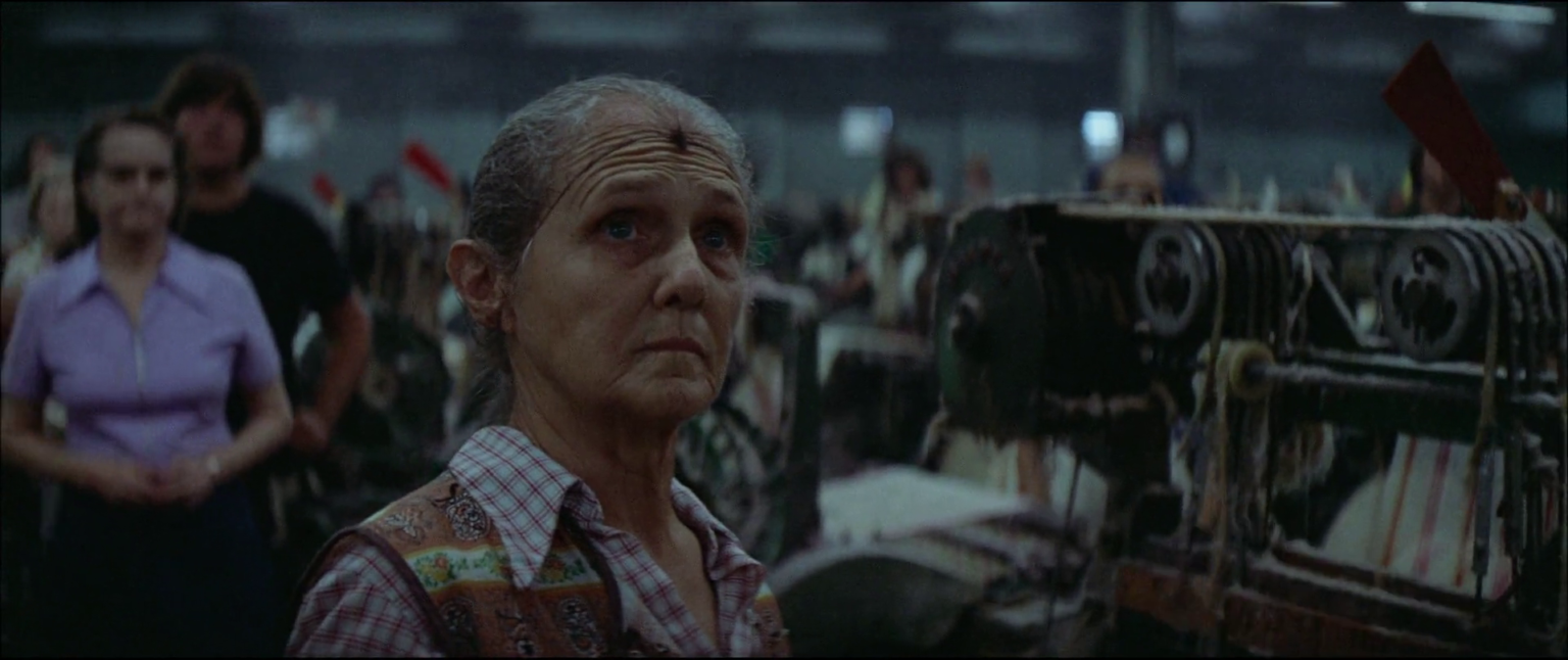 Norma Rae (1979) - FilmFanatic.org