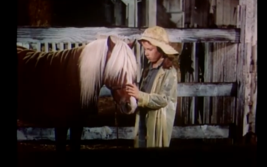 Red Pony, The (1949) - FilmFanatic.org