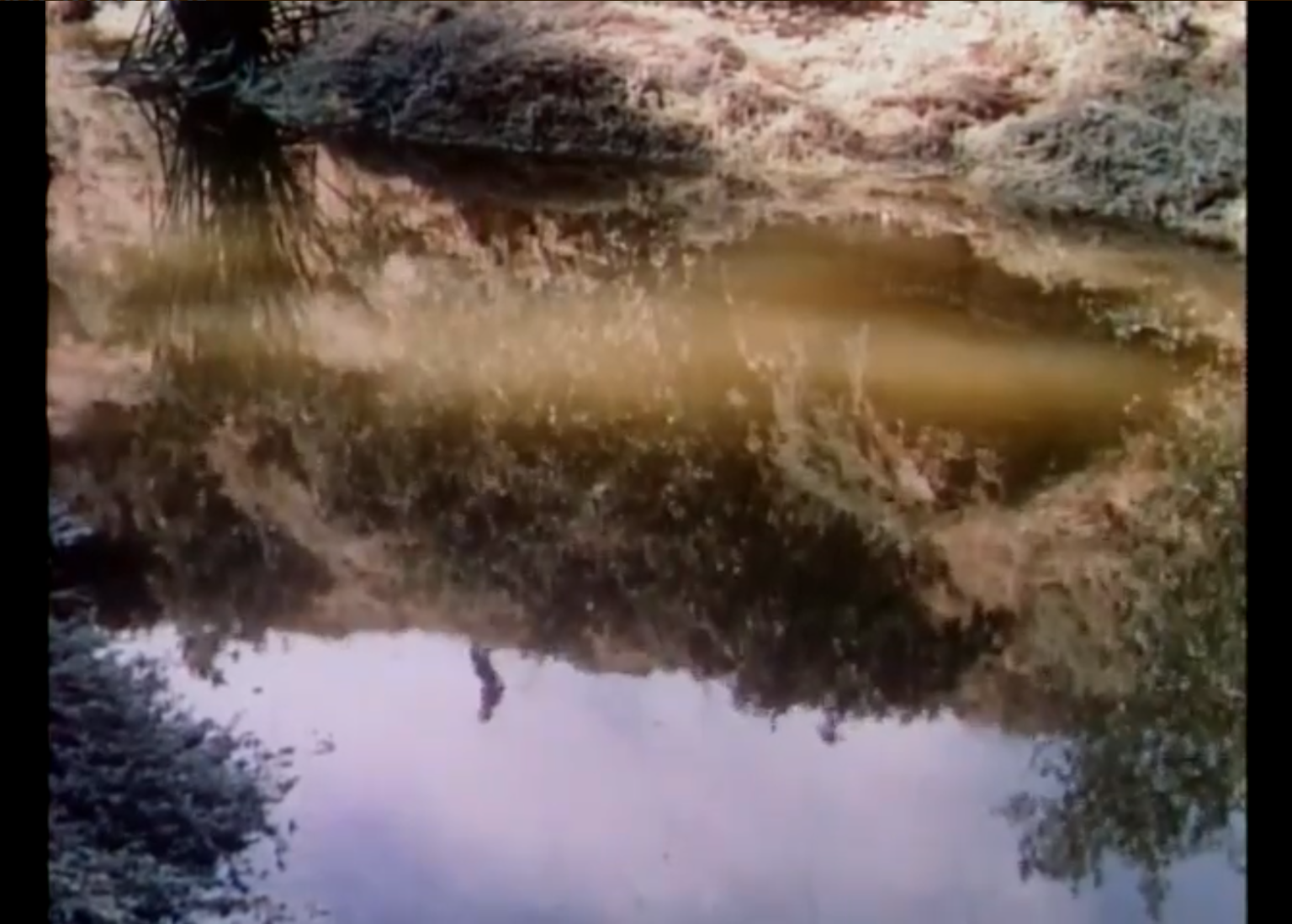 Red Pony, The (1949) - FilmFanatic.org