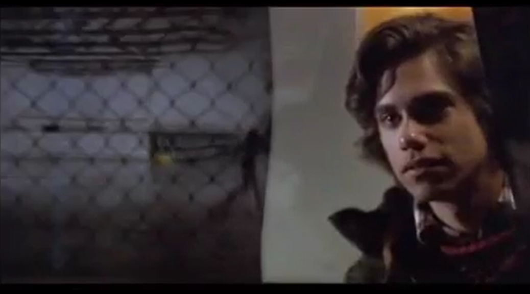 Ice Castles (1978) - FilmFanatic.org