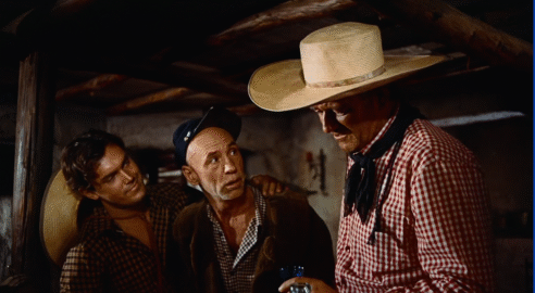 Searchers, The (1956) - FilmFanatic.org
