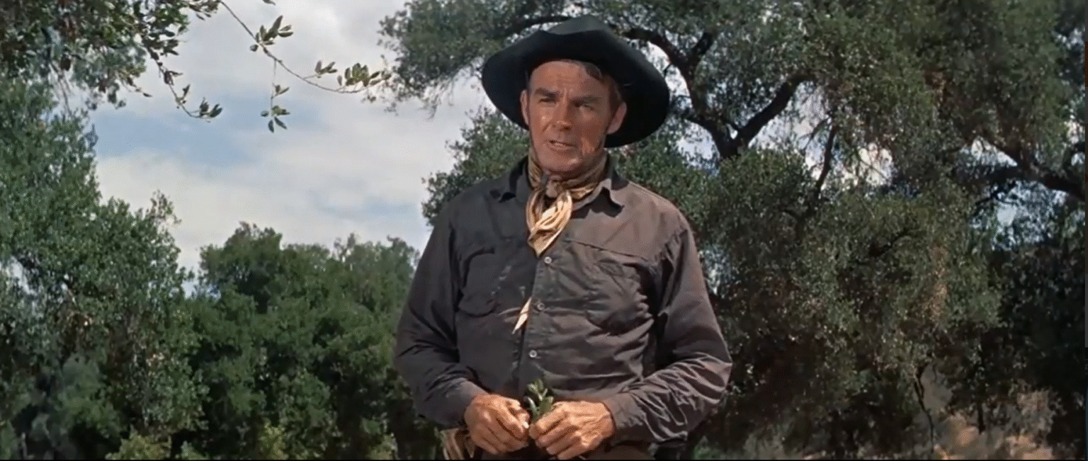 Comanche Station (1960) - FilmFanatic.org