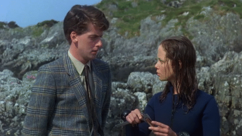 Local Hero (1983) - FilmFanatic.org