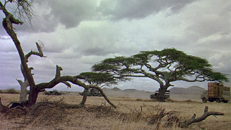 Hatari! (1962) - FilmFanatic.org