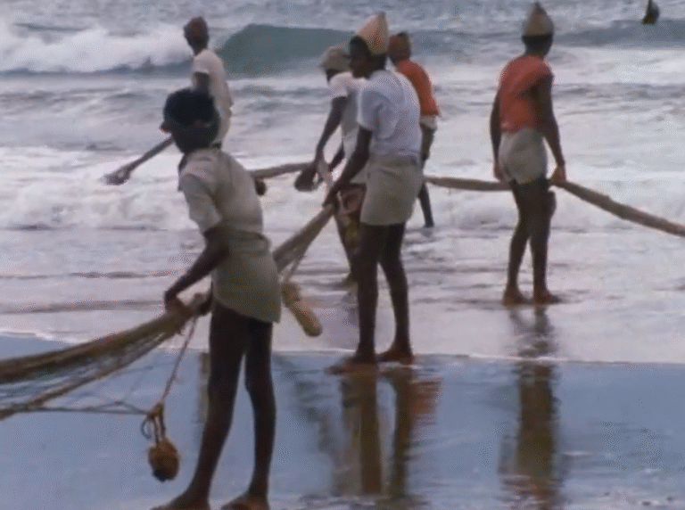 Phantom India: Reflections on a Journey (1969) – FilmFanatic.org